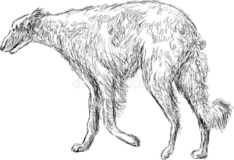 Greyhound Doodle Stock Illustrations – 120 Greyhound Doodle Stock ...