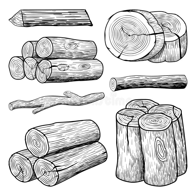 Sketch Hand Drawn Wood Trunk Collections Stock Illustration ...