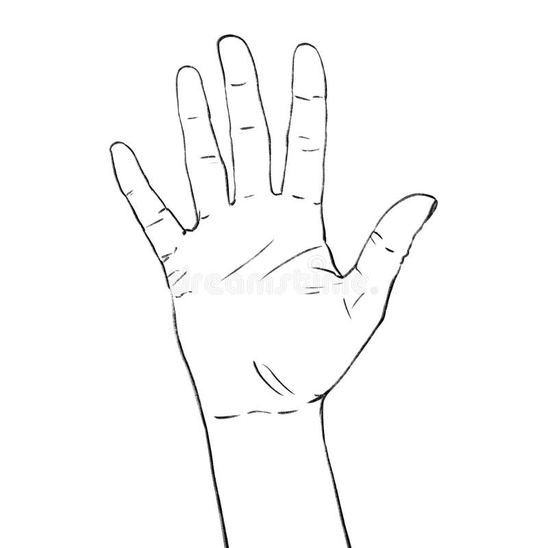 Sketch Hand, Palm Turned Up, Open Gesture, Concept Illustration Stock ...