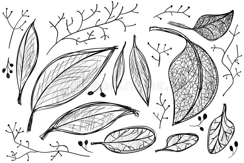 Dry Leaves Twigs Stock Illustrations – 384 Dry Leaves Twigs Stock ... Dry Leaves Twigs Stock Illustrations – 384 Dry Leaves Twigs Stock ...