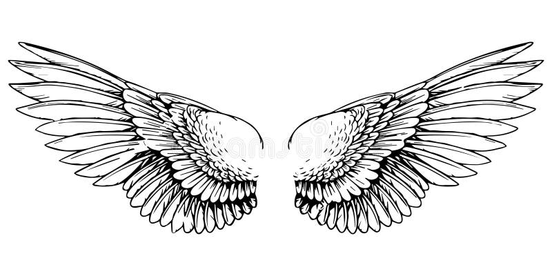 Sketch of Heraldic Wings. Stylish Bird Wings Stock Vector ...