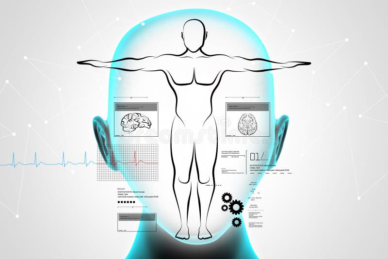 Female Human Body Outline Front Back Stock Illustrations – 320 Female ...