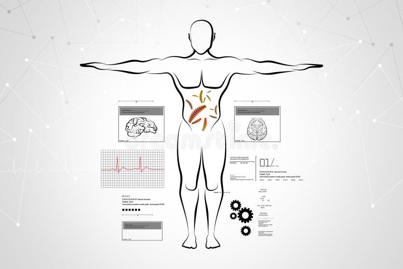 Sketch of human body stock illustration. Illustration of appearance ...