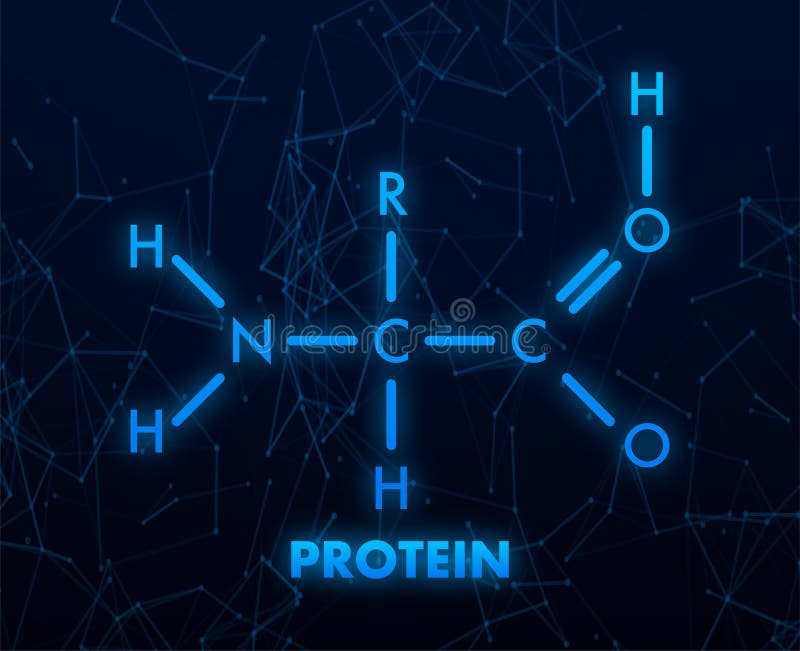 Protein. Structural Chemical Formula and Molecular Model. Vector ...