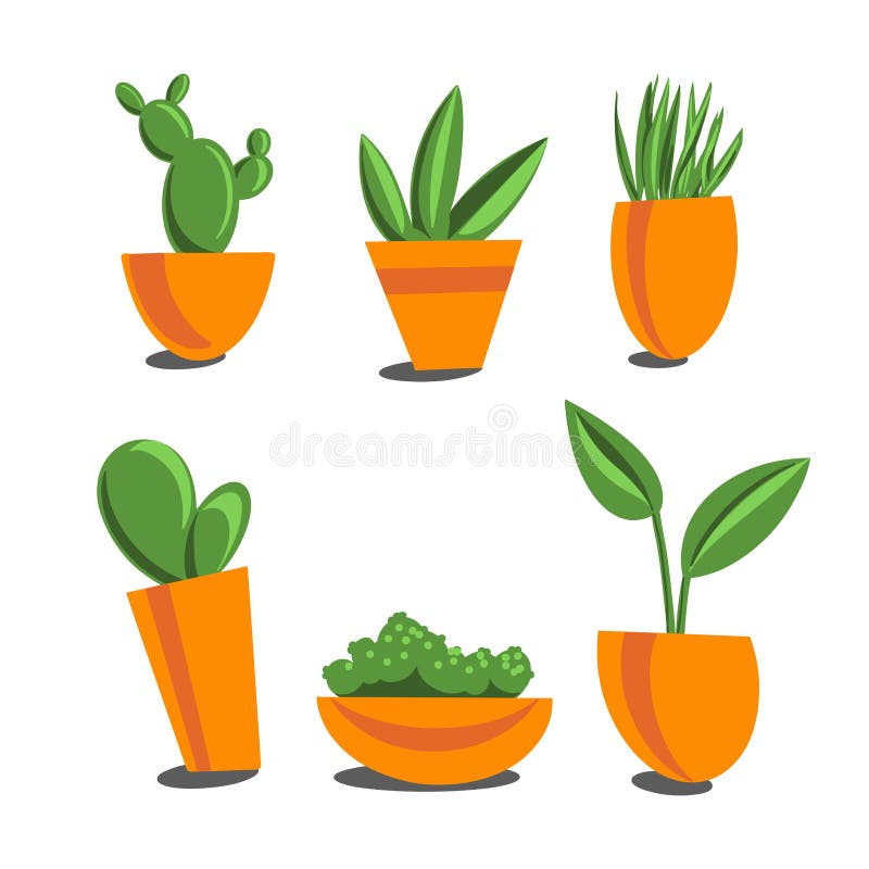 Sketch Illustration with Cactus for Decoration Design. Design ...