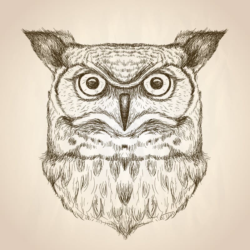 Pen And Ink Owl Head Sketch Stock Vector - Illustration of wildlife ...
