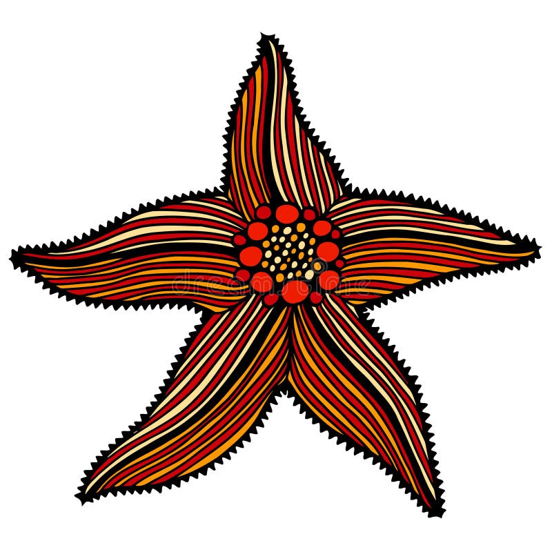 Sketch Illustration of Starfish Stock Vector - Illustration of cartoon ...