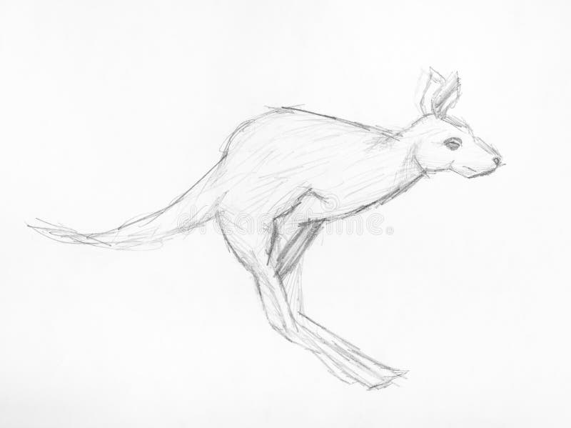 Sketch of Jumping Kangaroo Hand Drawn by Pencil Stock Illustration ...