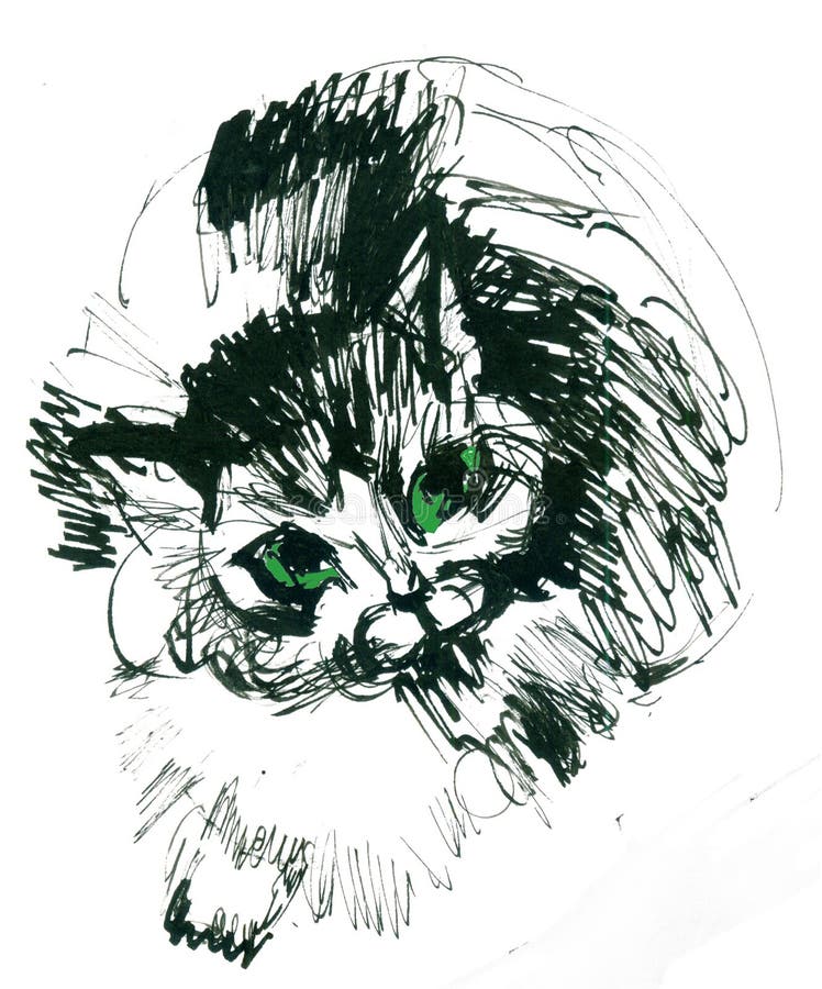 Sketch Kitty, Kitty Drawing, Ink Drawing Stock Illustration ...