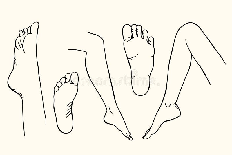 Set of Various Female Legs. Hand Drawn Outline Woman Foot in Different ...