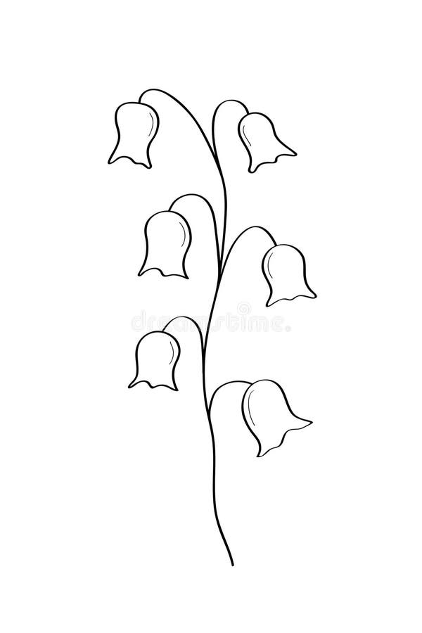 Sketch of a Lily Bell Wildflower. Vector Illustration of a Spring ...