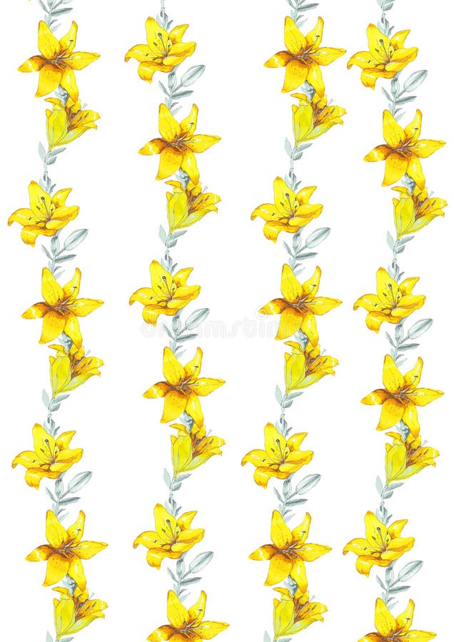 Sketch lily yellow flowers stock illustration. Illustration of vertical ...