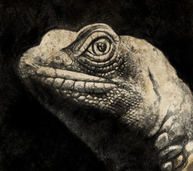 Sketch Made with Digital Tablet of Lizard Head in Sepia Stock ...