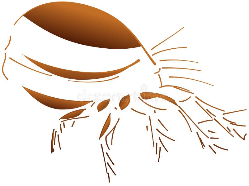 Image of mite animal stock illustration. Illustration of drawing - 38602183