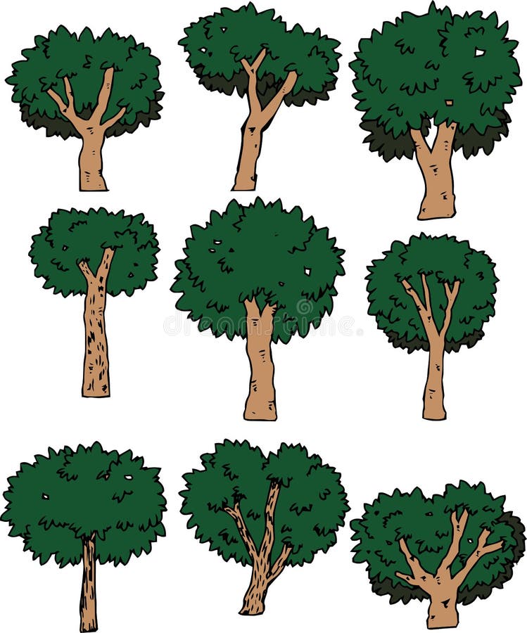 Sketch of natural tree set stock vector. Illustration of maple - 198011362