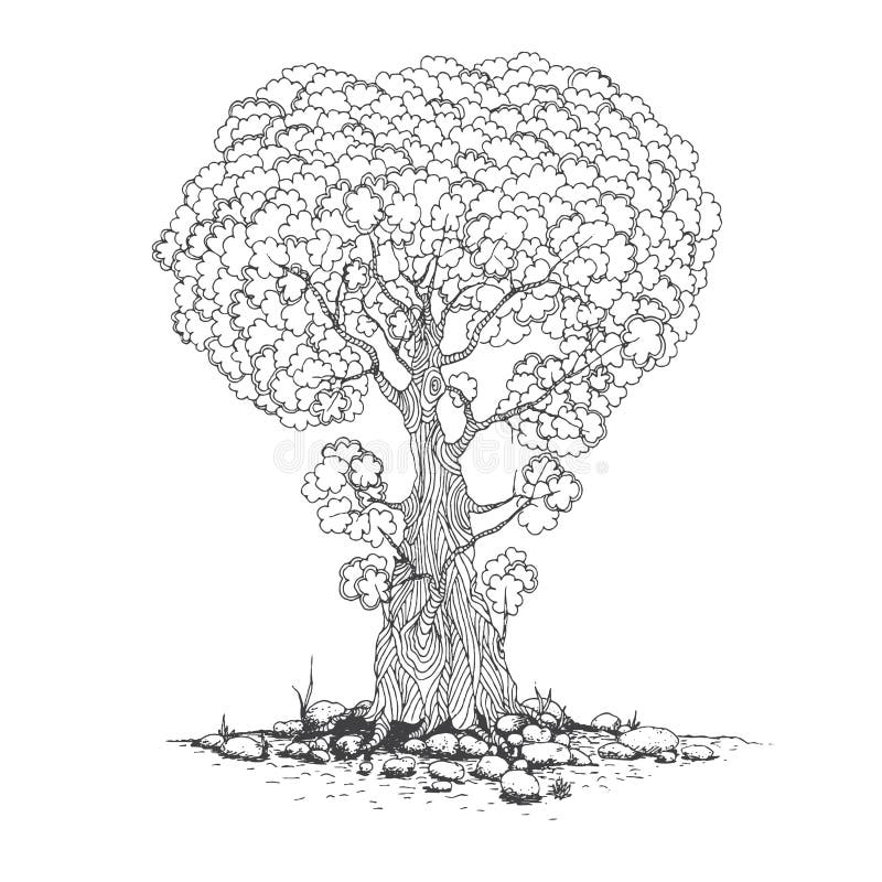 Sketch of One Trees. Vector Stock Vector - Illustration of background ...