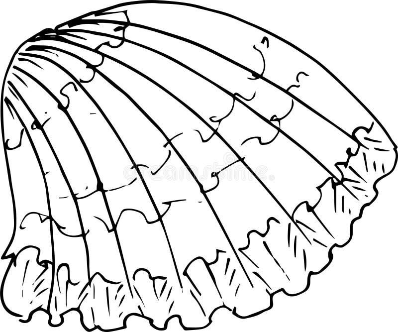 Sketch Oyster Vector Illustration in Doodle Style Stock Vector ...