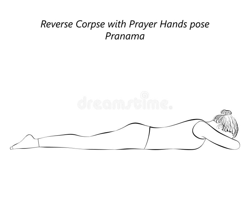 Prone Position Stock Illustrations – 147 Prone Position Stock ...