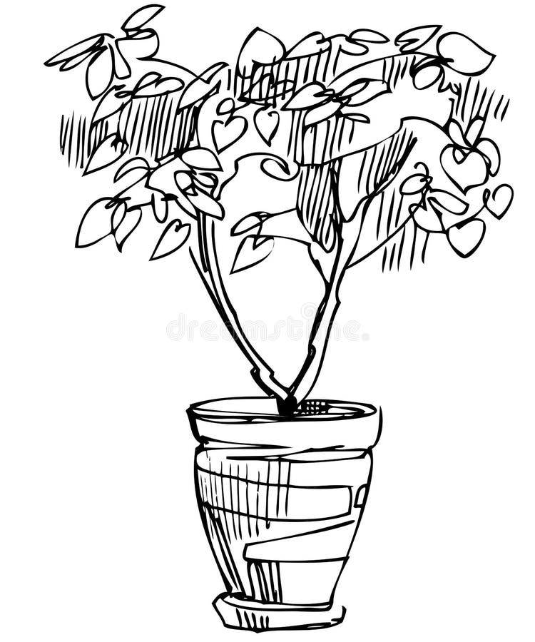 Sketch Room Plant Flower in a Pot Stock Vector - Illustration of ...