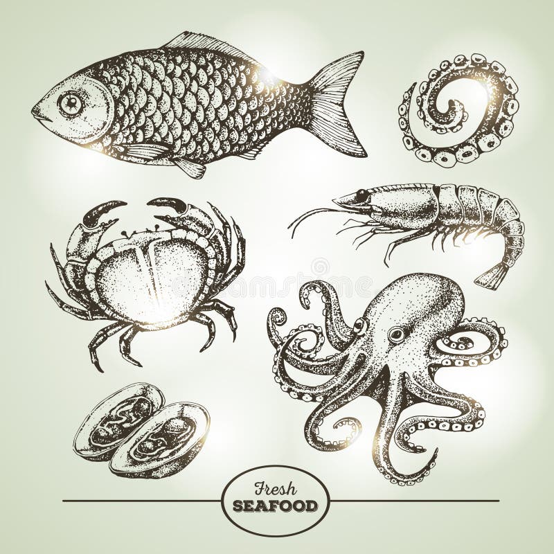 Sketch set of seafood. stock vector. Illustration of animal - 60589639