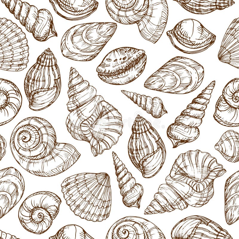 Sketch Shells Pattern. Hand Drawn Background in Engraving Style. Vector ...