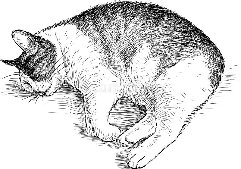 Lazy Cat Stock Illustrations – 1,923 Lazy Cat Stock Illustrations ...