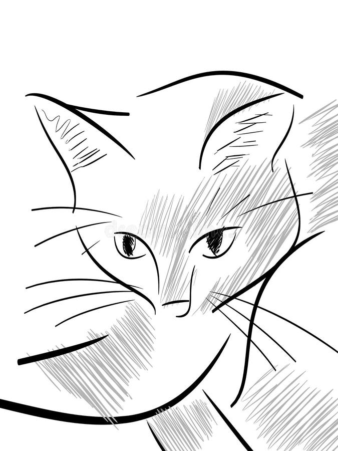 Sketch of a Stylized Isolated Cat Stock Illustration - Illustration of ...