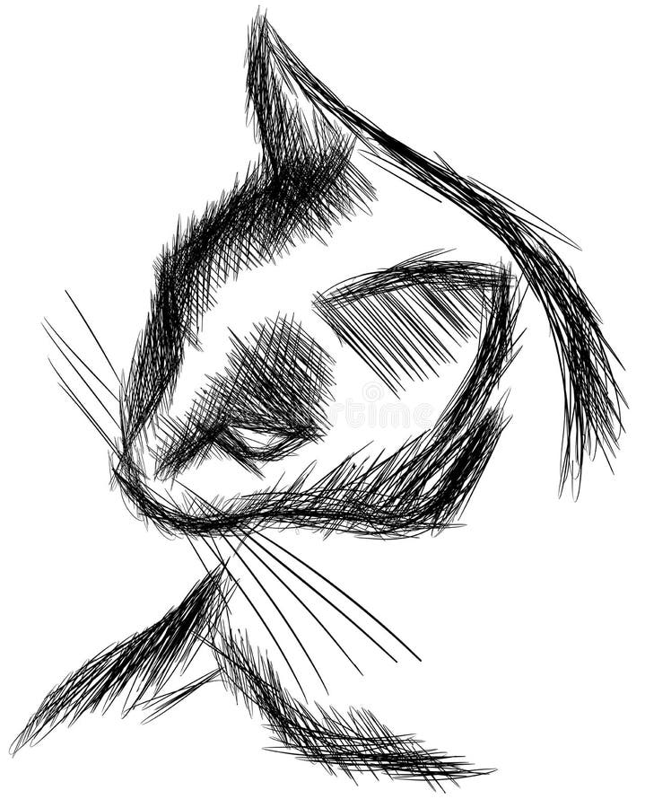 Sketch of a Stylized Isolated Cat Stock Illustration - Illustration of ...