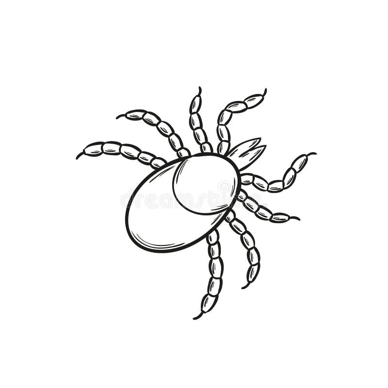 Tick Cartoon Coloring Coloring Pages