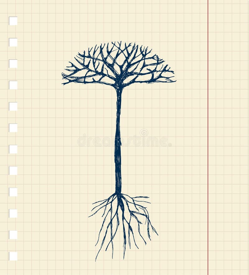 Sketch Tree with Roots for Your Design Stock Vector - Illustration of ...