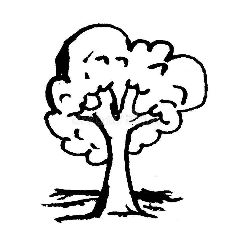 Sketch of tree on white stock illustration. Illustration of design ...