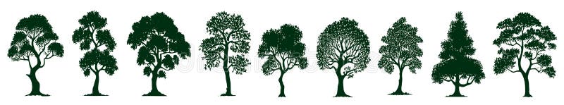 Sketch Trees Forest and Park Coniferous and Deciduous Trees. Vector ...