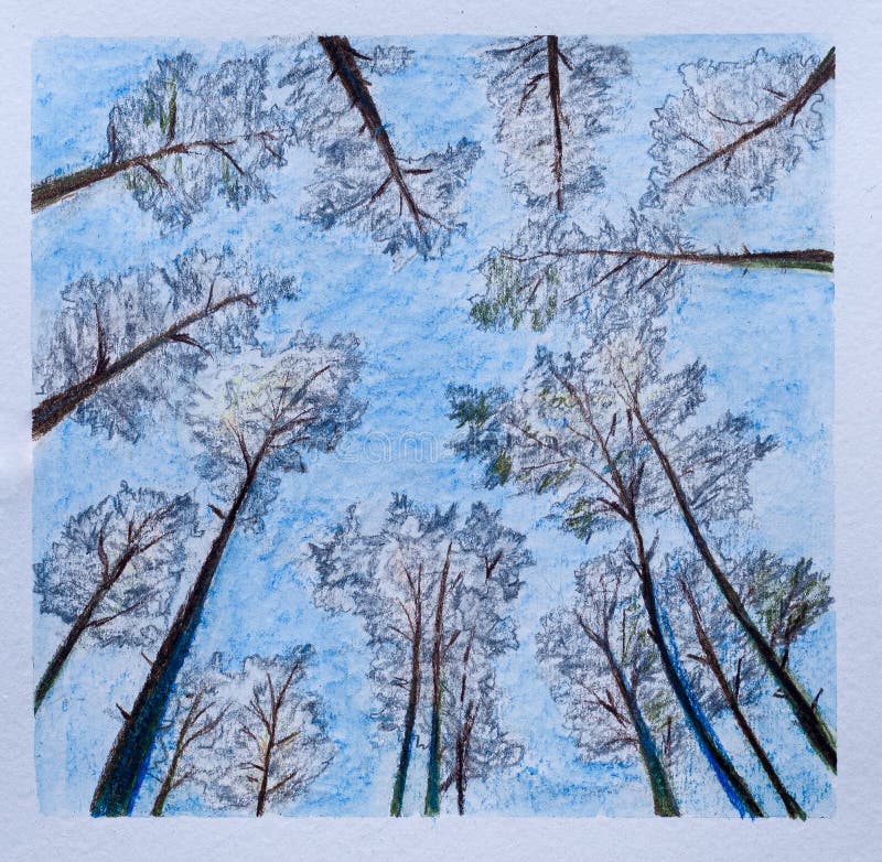 Sketch of Treetops Against the Blue Sky Stock Illustration ...