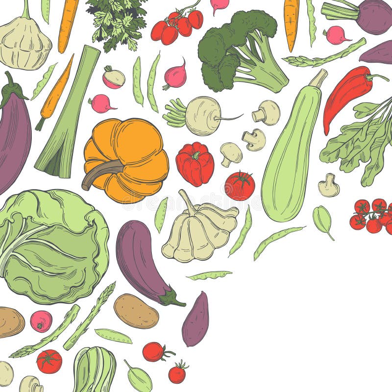 Sketch Vegetables. Vector Illustration Stock Vector - Illustration of ...