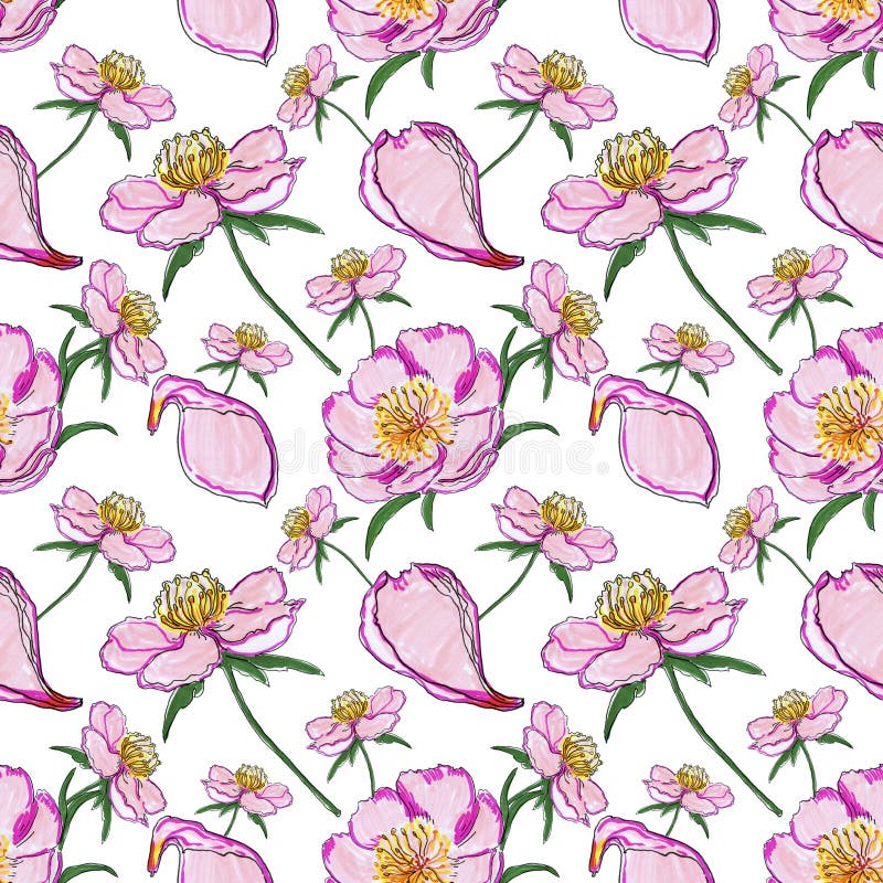 Sketch on a White Background. Beautiful Pink Hand Drawn Flower. Stock ...