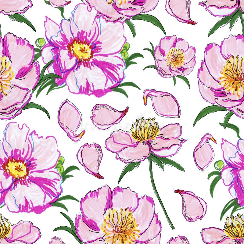 Sketch on a White Background. Beautiful Pink Hand Drawn Flower. Stock ...