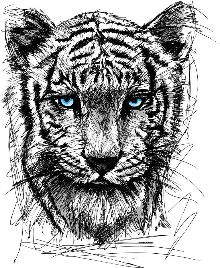 Scribble Tiger Stock Illustrations – 849 Scribble Tiger Stock ...