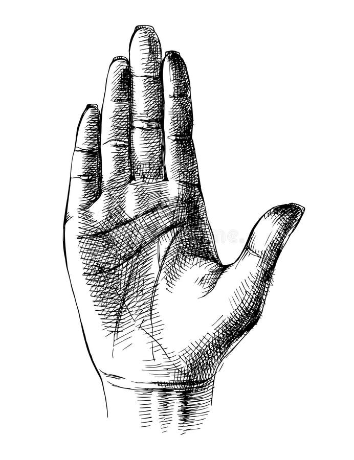 Hand Stop Signal Stock Illustrations – 2,256 Hand Stop Signal Stock ...