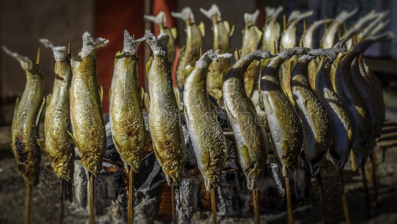 Skewered salted fish stock photo. Image of outdoor, food - 52556578