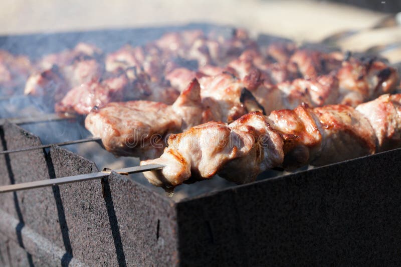 Skewers of Meat on the Coals Stock Photo - Image of culture, food: 41263800