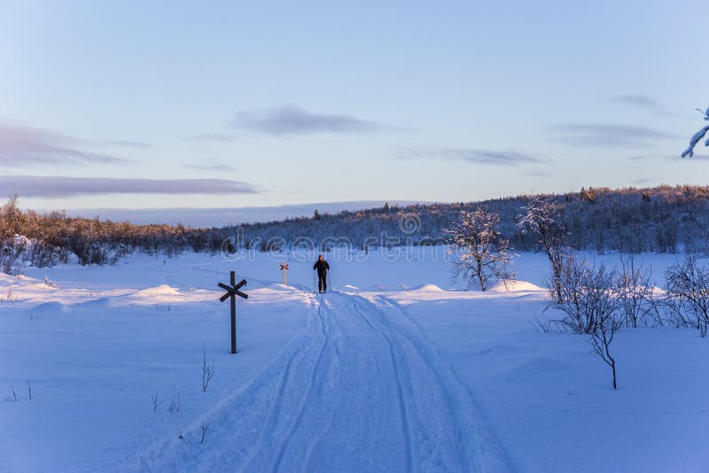 Ski Expedition in Nuorgam, Lapland, Finland Editorial Stock Photo ...