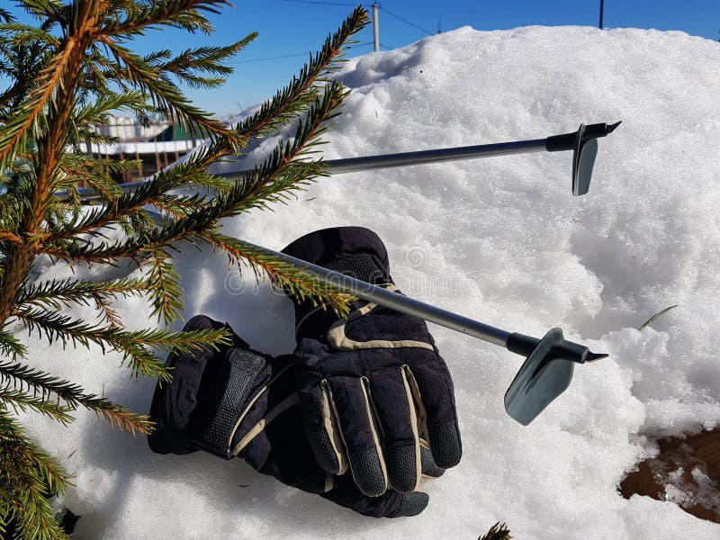 Ski Gloves, Skis and Ski Poles in the Snow Under the Tree in Winter or ...