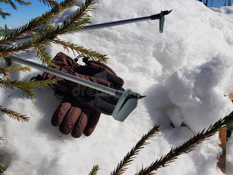 Ski Gloves, Skis and Ski Poles in the Snow Under the Tree in Winter or ...