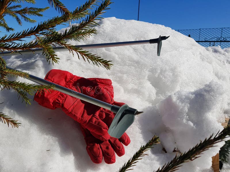 Ski Gloves, Skis and Ski Poles in the Snow Under the Tree in Winter or ...