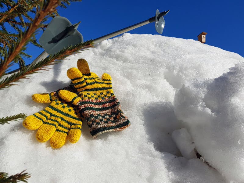 Ski Gloves, Skis and Ski Poles in the Snow Under the Tree in Winter or ...