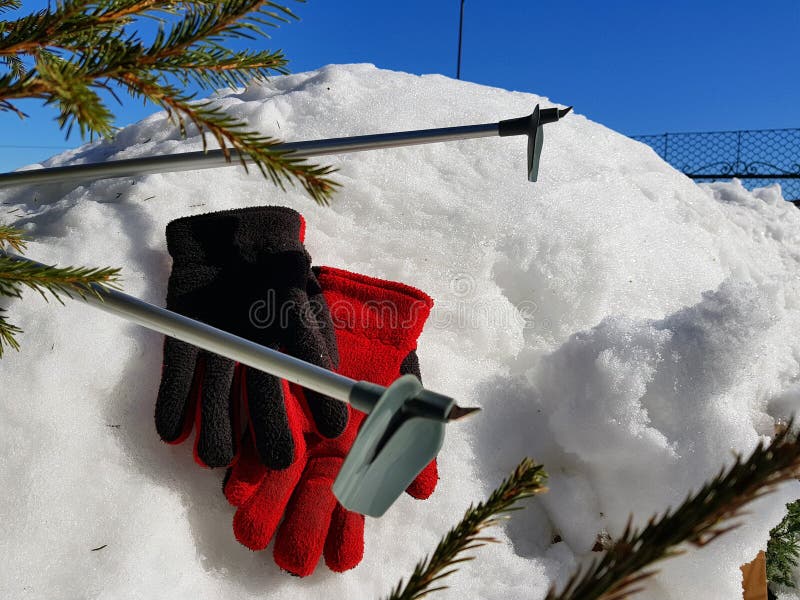 Ski Gloves, Skis and Ski Poles in the Snow Under the Tree in Winter or ...