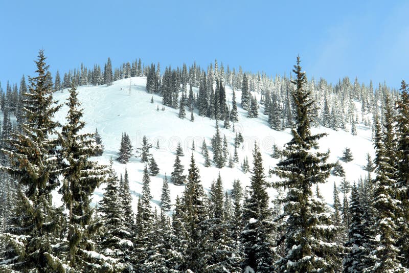 Ski Hill Powder stock photo. Image of covered, outdoor - 2078192