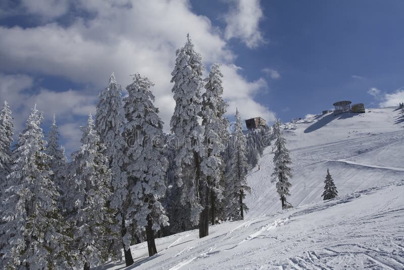 Ski path stock photo. Image of nature, resort, path, relaxation - 3360428