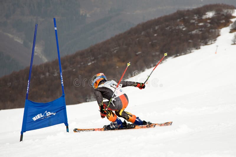 Slalom Ski racer stock photo. Image of lifestyles, energy - 3615626