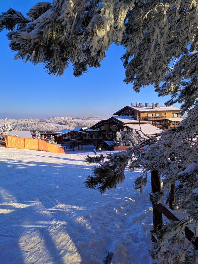 Ski Resort through the Fir Trees Stock Photo - Image of ridge, freezing ...